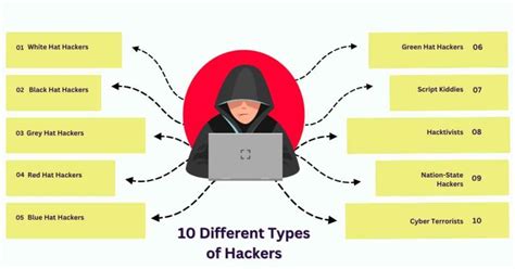 What Are The Different Types Of Hackers All Types Of Hackers Explained