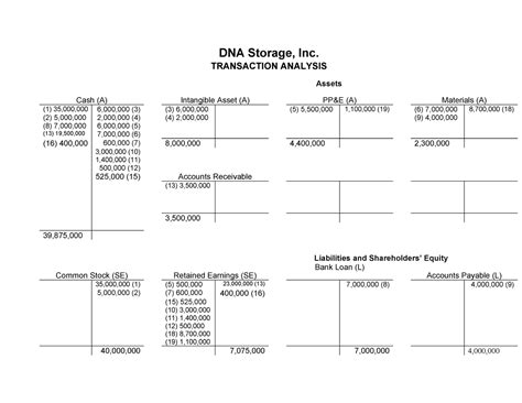Dnastorage Template Dna Storage Inc Transaction Analysis Assets