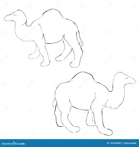 Simple 2 Outline Sketch Camel Stock Vector Illustration Of Arabic