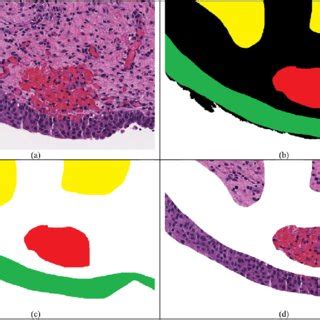 Ground Truth Preparation A Original Image B Ground Truth Prepared By Download Scientific