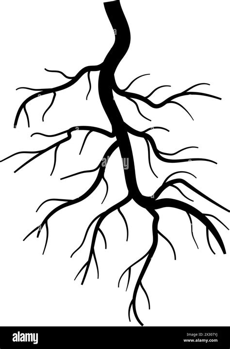 Network Tree Root Cartoon Vector Illustration Stock Vector Image And Art