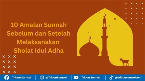 10 Amalan Sunnah Baik Dilakukan Sebelum Dan Setelah Melaksanakan Sholat