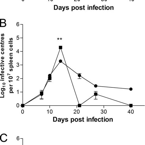 Virological Analysis Of Infection In The Lung Mhv 68 Infections Of