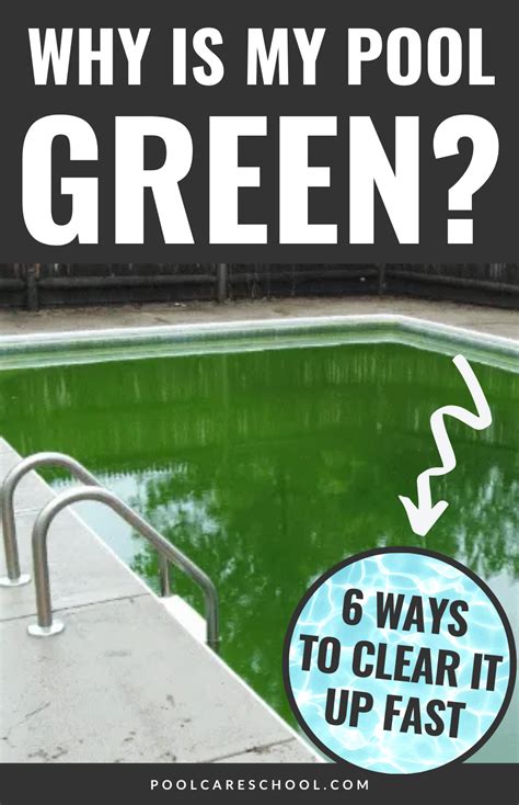 How To Clear Green Pool Water Fast Pool Care School