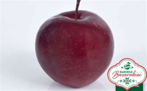 Devil Gala Darurile Basarabiei