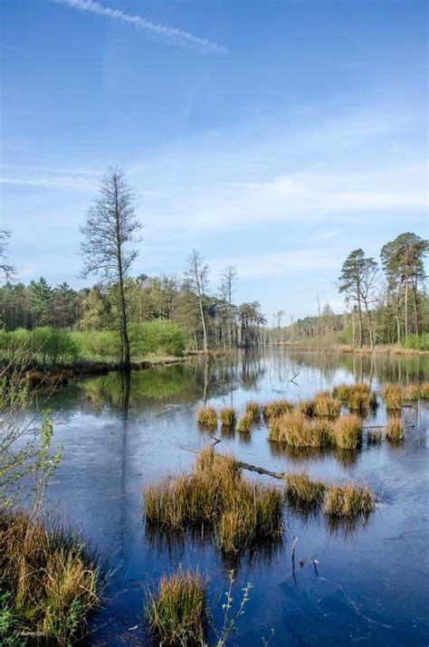 Stilles Wasser Foto And Bild Landschaft Bach Fluss And See See Teich
