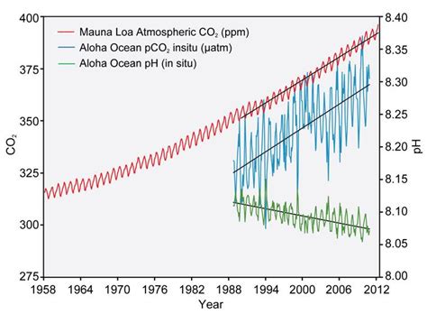 Ocean Acidification And Its Effects Coastadapt
