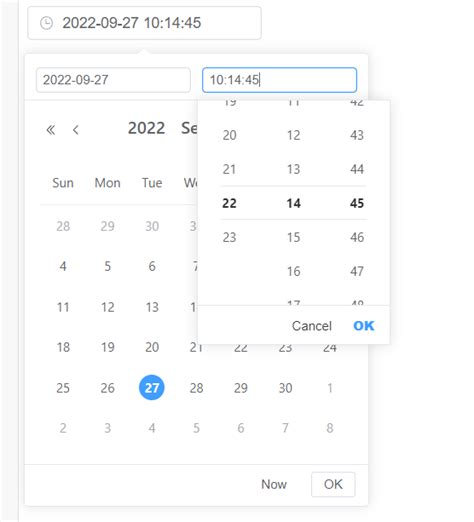 Docs Date Picker Datetime Picker Display Exception · Issue 9936