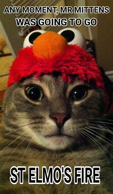 20个有趣的埃尔默表情包，会让你咯咯笑 下一个奢侈品 伟德电子官网