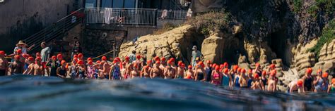 La Jolla Cove Swim
