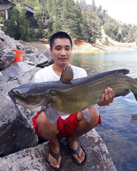 Redding 🗣️shout Out To John Phan For Showing Off This Big Whisker He