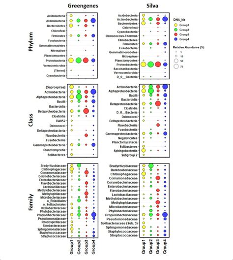 Taxonomic Bubble Plot Of Olive Xylem Bacteria Relative Abundance At