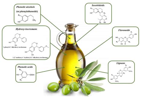 What Are Polyphenols And Why Should You Care Salty Olive
