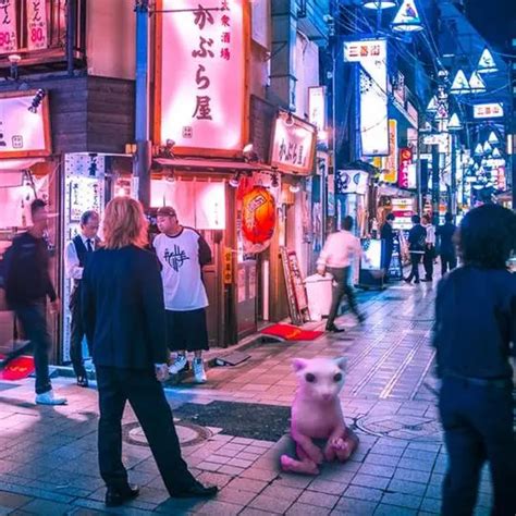 Bingus In Tokyo Scrolller