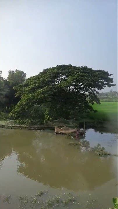 Natural Beauty Of Bangladesh বাংলাদেশের প্রাকৃতিক সৌন্দর্য Short