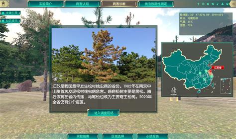实验详情