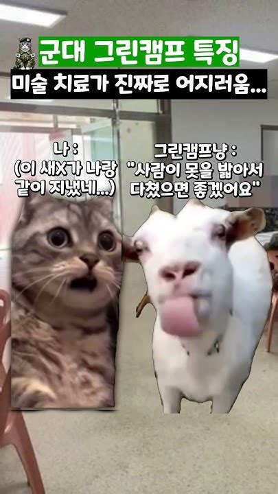 군대 그린캠프 특징 Shorts 군대 Youtube