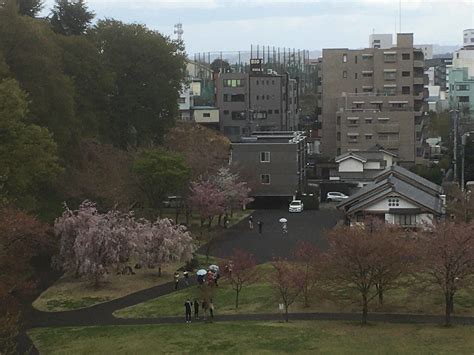 Kosugi