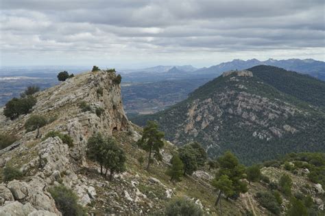 Kevin Dutton Artist And Photographer