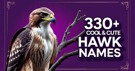 330 Cool Cute Hawk Names AI Generator