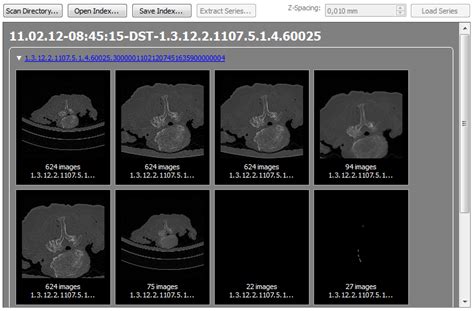 GitHub RWTHmediTEC CarnaDICOM Carna Extension Library That Adds Support For Quick Easy