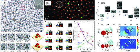 Electric And Magnetic Field Mediated Dynamics Of Anisotropic Particles