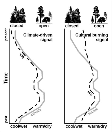 Figure E Conceptual Model Showing Expected Vegetation Response Vri Download Scientific