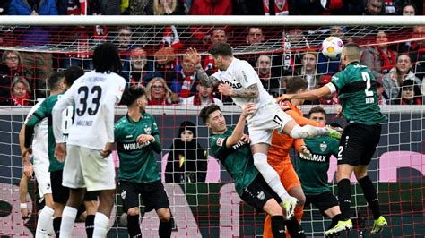 Reaktionen Zu VfB Stuttgart Gegen Den SC Freiburg Pfeif Ab Bevor