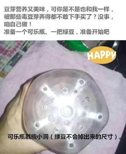 可樂瓶子種豆芽你沒看錯健康營養又美味再也不怕毒豆芽 每日頭條