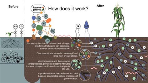 Vladimir Tkachenko Posted On Linkedin