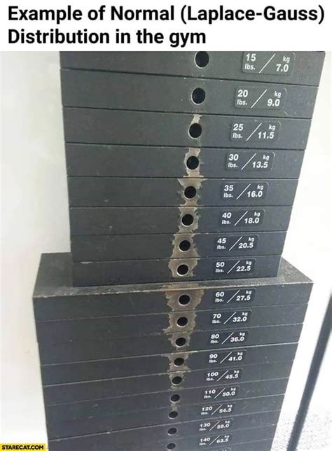 Example Of Normal Distribution In The Gym Weight Lifting Machine