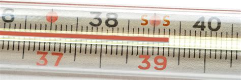 What Is Halt Testing Gateway Cable Company