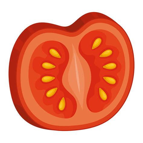 Tomato Slice Illustration 3837287 Vector Art At Vecteezy