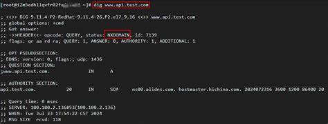 内网dns主域及子域名解析生效规则 内网dns解析 云解析dns dns 阿里云帮助中心