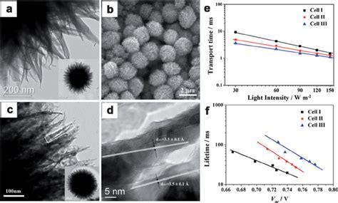 SEM And TEM Images Of Hierarchical Anatase TiO 2 Microsphere HTS Via Download Scientific