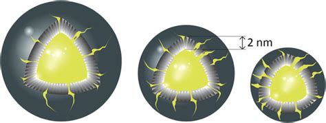 structural model for different subclasses of hdl particles the figure