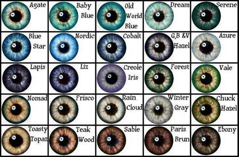 Most Rare Eye Color Chart Eye Color Chart Eye Color Writing