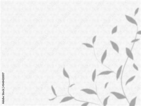 枝と葉の影が壁に映るシンプルな背景 Stock Illustration Adobe Stock