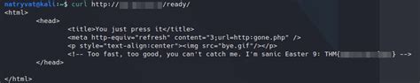 Ctf Collection Vol2 Tryhackme Writeup Natryvat