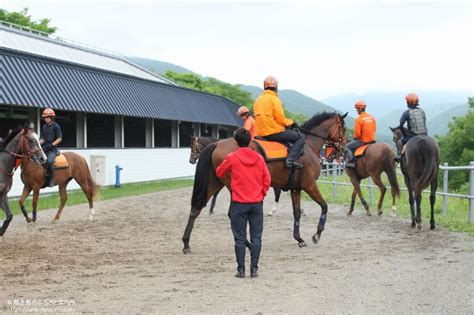 戸崎圭太騎手が騎乗閲覧 馬産地ニュース 競走馬のふるさと案内所