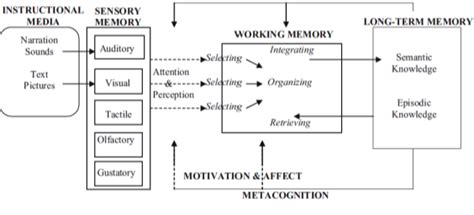 Figure 1 From Instructional Humour And Cognitive Affective Learning