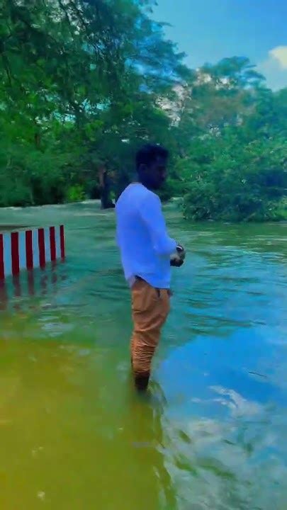 කව්ද ගිහින් තියෙන්නේ දන්න අය Comment එකක් දාන්න Youtubeshorts Srilankan Youtube