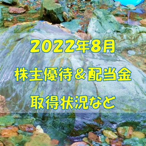 【公開】配当金＆株主優待＆支出入状況（2022年8月） 月別配当・優待＆支出入状況