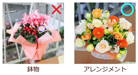 40％offの激安セール お見舞い用アレンジ プリザーブドフラワー