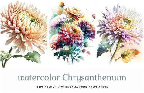 Watercolor Red Poppy Clipart Graphic By Cosas Molonas · Creative Fabrica