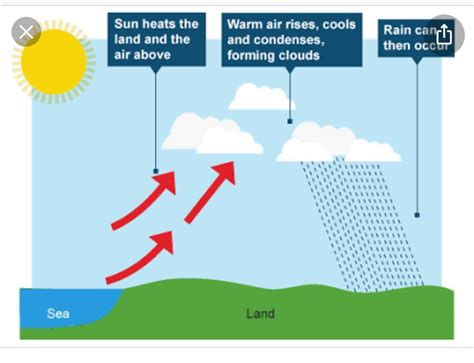 Draw A Labeled Diagram Of Frontal Rain And Describe How Does It Occur