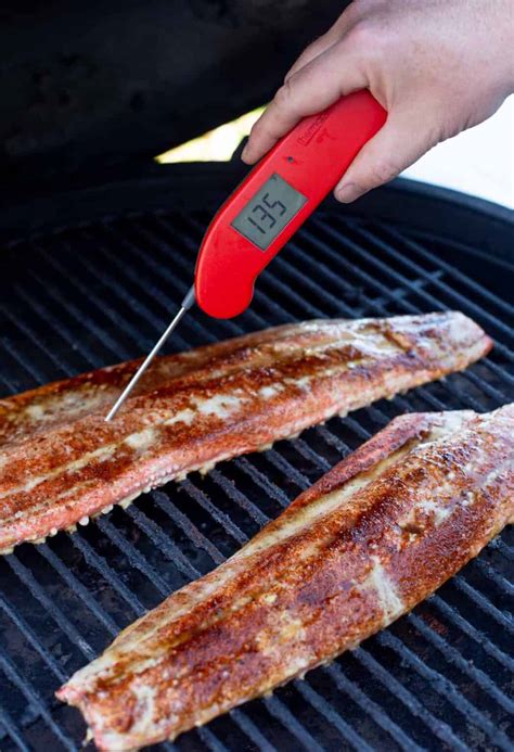 How To Smoke Sockeye Salmon Perfectly Vindulge