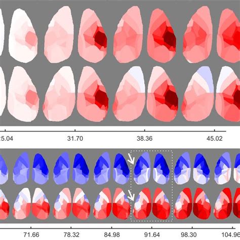 Distributed And Spatially Confined Components Of Sensory Processing Download Scientific