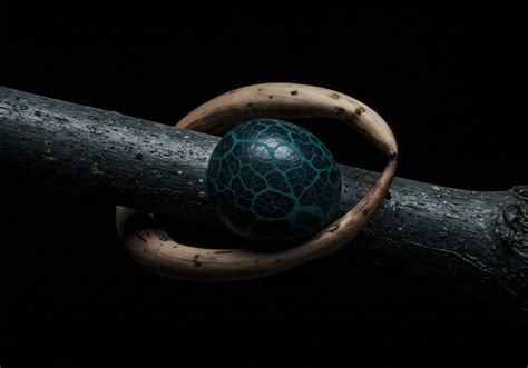 Integrated Systems Design → Academic