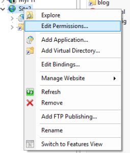 What Is IIS Web Server Internet Information Services